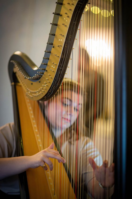 Rutland Harpist - Hire for Weddings & Events - DG Music